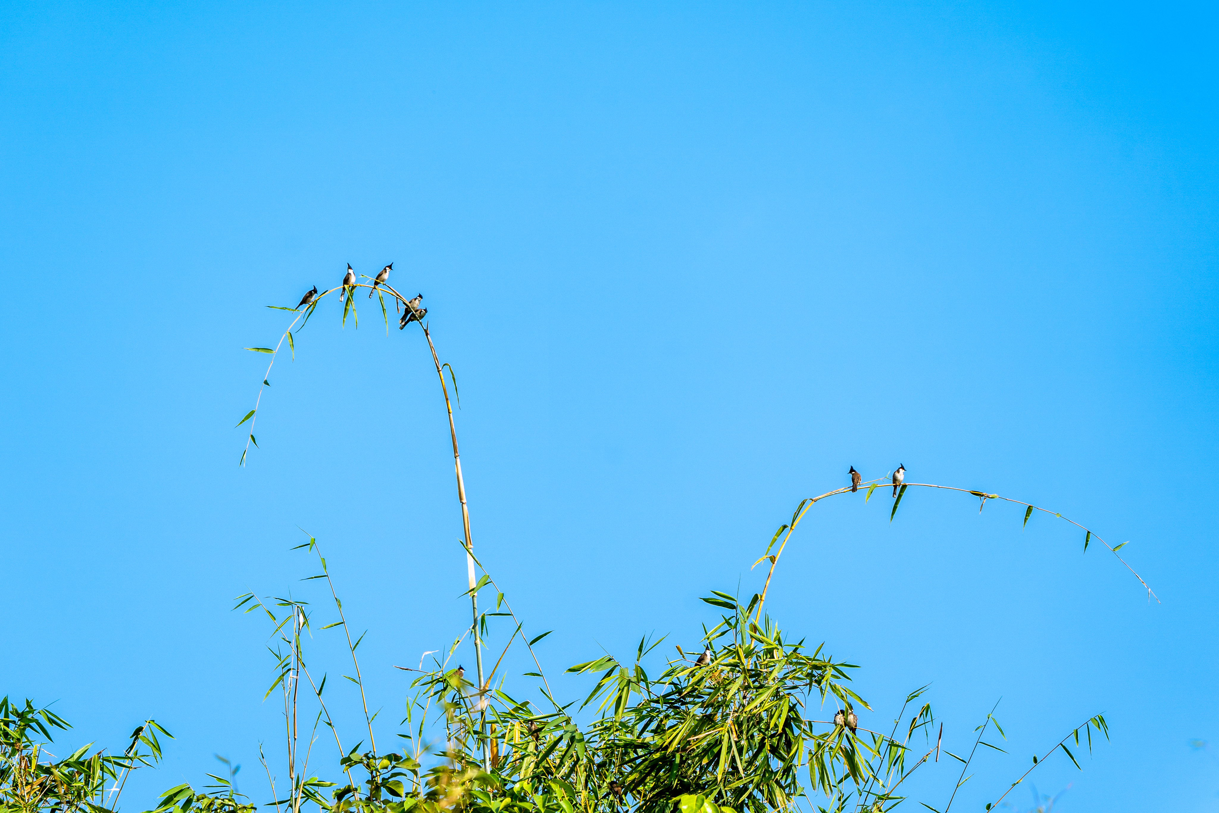 Gallery - Jacob Press on Github