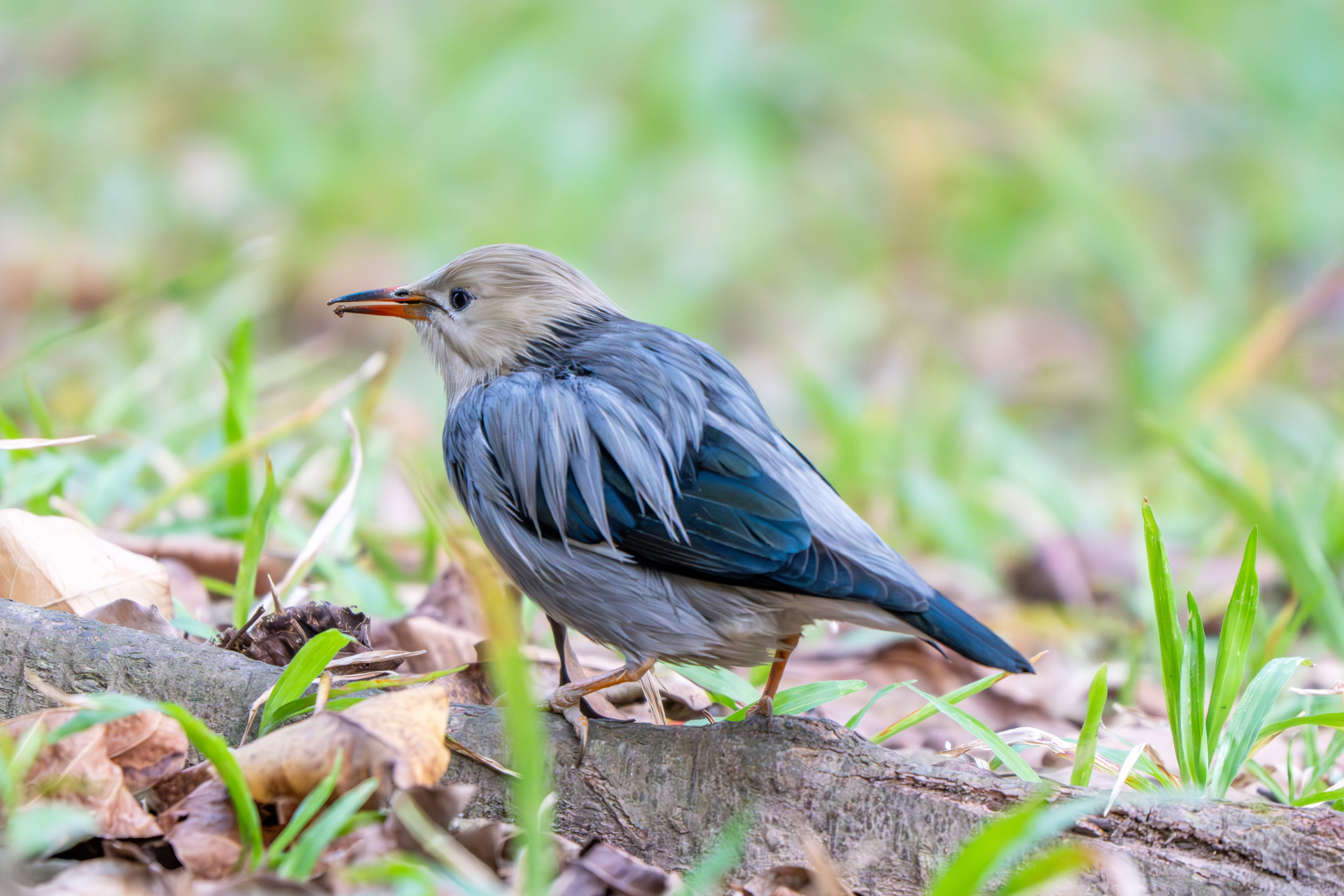 Gallery - Jacob Press on Github